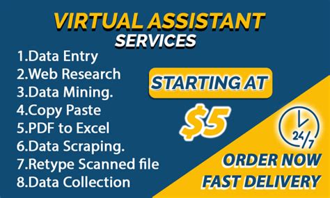 professional virtual assistant copy paste data entry typing data mining