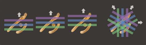 The Principle Of Structured Illumination Microscopy N Sim S Super Resolution Microscopes