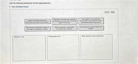 Solved Sort The Following Statements Into The Appropriate