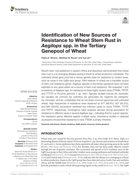 Pdf Identification Of New Sources Of Resistance To Wheat Stem Rust In Aegilops Spp In The