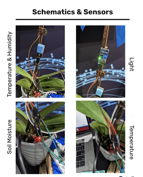 Building A Plant Monitoring Tool With IoT The New Stack