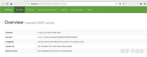 Hadoop配置中关于start all sh无法运行若干问题 知乎