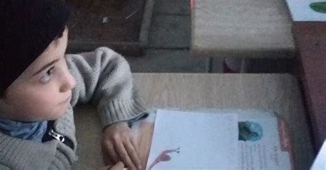 ირინა ბერიძის პორტფოლიო გაკვეთილის გეგმა ლოკოკინა და ხვლიკი მე 2 კლასი