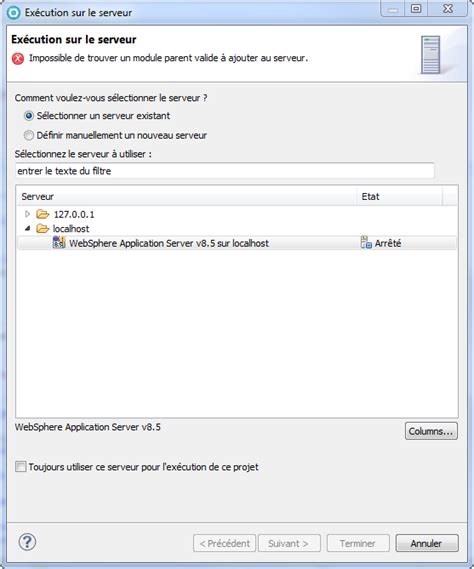 java can t deploy application on websphere application server v8 5