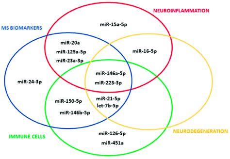 Mirna Selection The Venn Diagram Shows The 14 Circulating Mirnas With Download Scientific