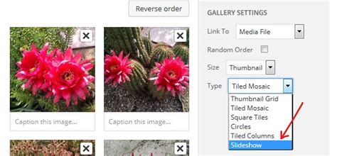 How To Add A Slideshow To Wordpress Website Basicwebguide