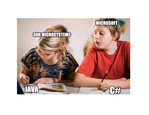 R Programminghumor