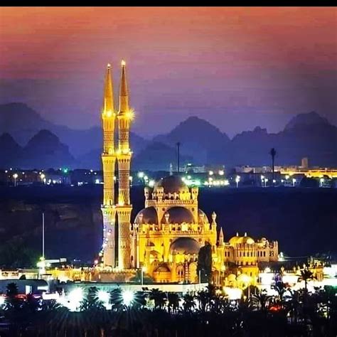 جروب شرم الشيخ الرسمي