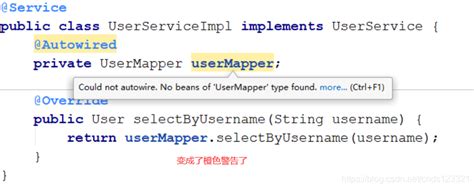 springboot使用 autowired注入mapper接口编译错误“could not autowire no beans of