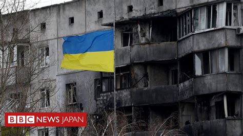 開戦から1年を87秒で振り返る、ロシアのウクライナ侵攻 Bbcニュース