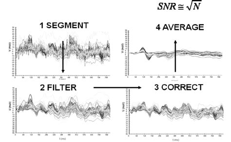 Example Trial Data From Its Raw State Through Filtering Correction And