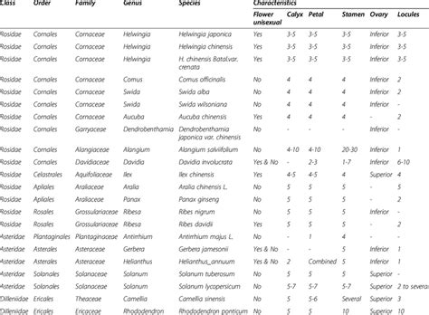Comparison Of Helwingiacaea And Related Species Under Cronquist System Download Table