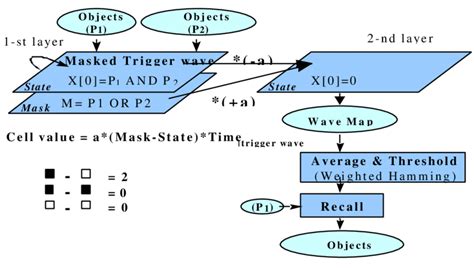 Dynamic Type Implementation Of Wave Metric On Cnn From The