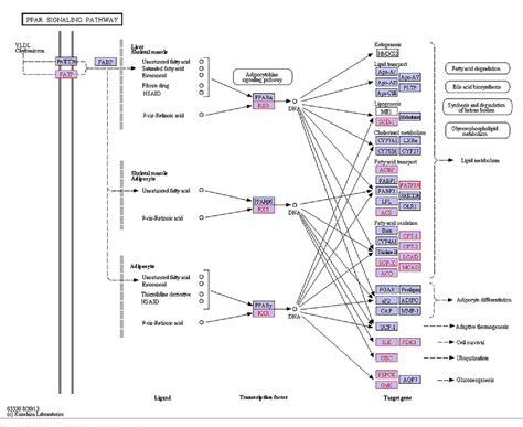 Table 1 From Comparative Transcriptome Analysis In The Hepatopancreas