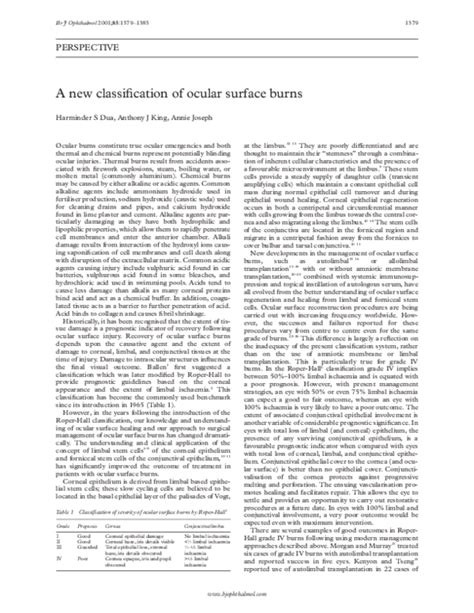 Pdf A New Classification Of Ocular Surface Burns