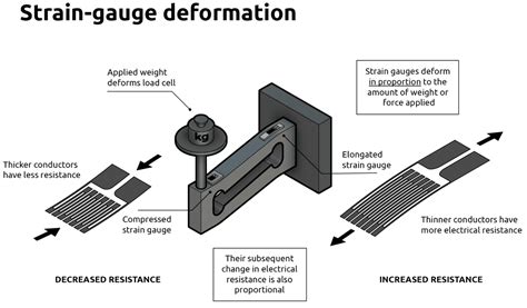 What Is A Load Cell And How Does It Work