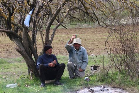 რუსების აღარ გვეშინია გაზაფხული საოკუპაციო ხაზთან [ფოტორეპორტაჟი] Netgazeti • კონფლიქტები