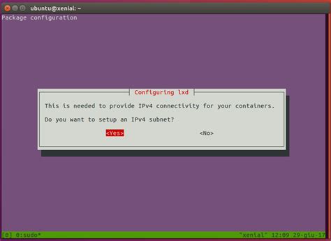 Setting Up LXD On Ubuntu Ubuntu