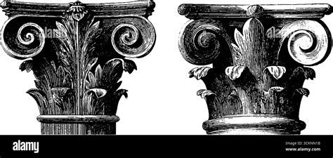 Classical Corinthian Column Capitals Engraving For Architectural Design And Art Projects Stock