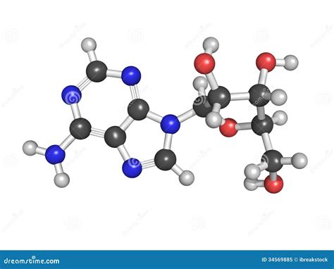 Adenosine A Nucleoside Molecule Chemical Structure This Is O Stock Illustration