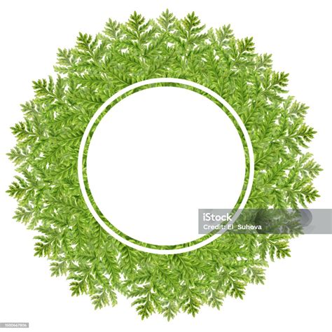 봄과 여름 파티 비티 결혼식 생일 인사말 카드 메뉴 배너 테두리를 위한 나뭇잎이 있는 녹색 가지의 손으로 그린 수채화 프레임 흰색 배경에 분리된 요소 0명에 대한 스톡 벡터