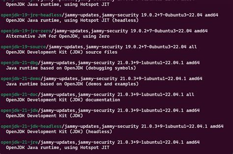 Linux Ubuntu Ubuntu우분투 Openjdk 설치하기 코딩 연습장