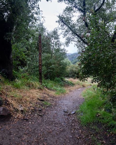 Big Dalton Canyon Trail Gem Of The Glendora Mts