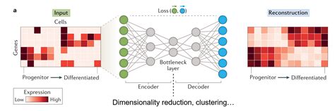 Integrative Analysis Of Single Cell Multiomics Data Using Deep Learning
