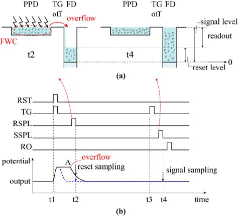 Schematic Diagram Of The Signal Readout Of The 4t Ppd Pixel Under