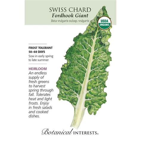 Fordhook Giant Swiss Chard Seeds Chard Seeds Vitamins And Minerals