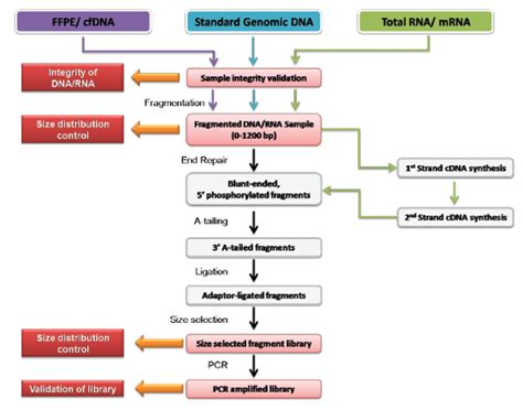 Ngs Library Validation Using Automated Capillary Gel Electrophoresis