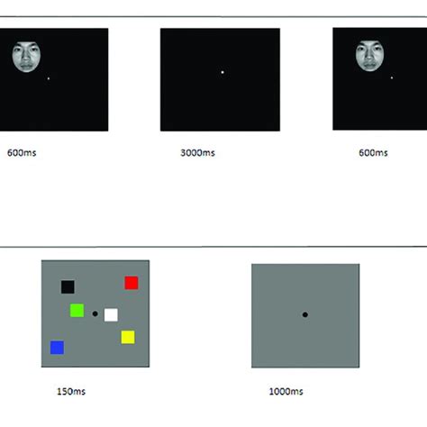 Single Trial Time Course In Behavior Task A Object Working Memory Download Scientific