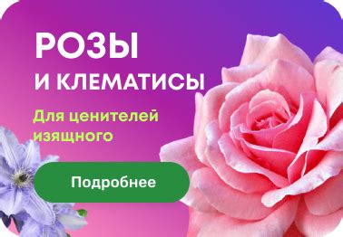 Семена почтой интернет магазин | Семена купить в Агросемфонд