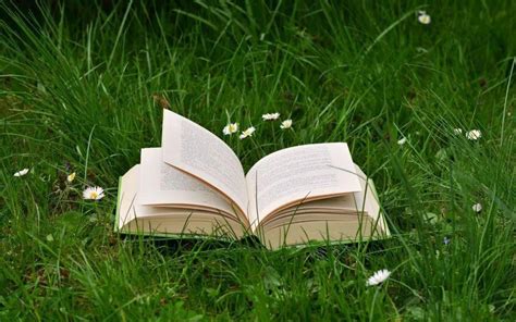 45条有关读书的金句，赋予你持续精进的力量 生活 人生 书籍