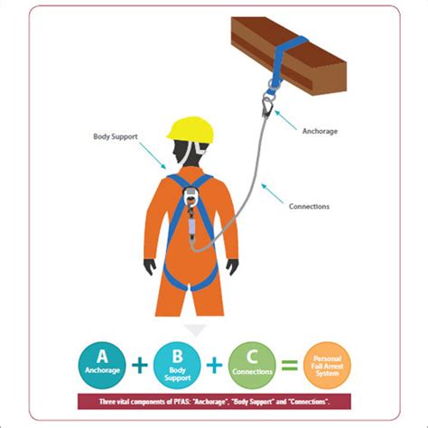 What Are The 5 Components Of A Fall Arrest System At Ruth Leal Blog