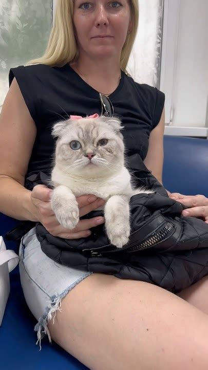 Как правильно закапывать капли в глаза Youtube