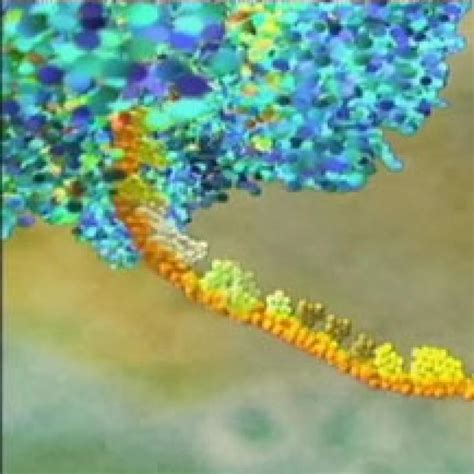 Modeling The Structure Of Dna