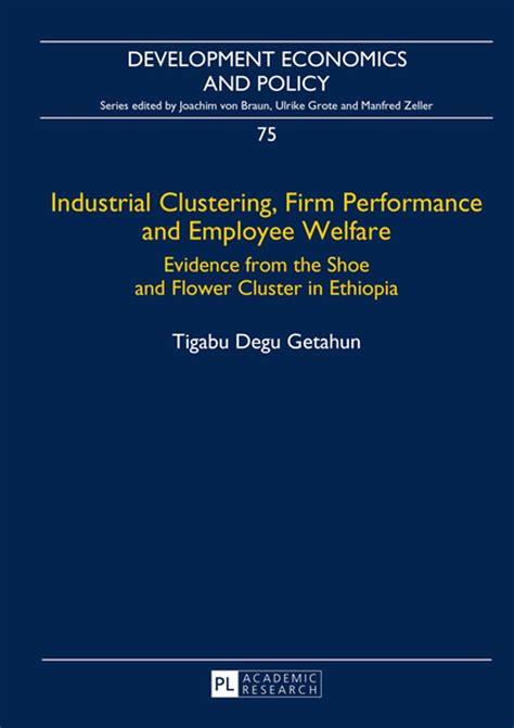 Industrial Clustering Firm Performance And Employee Welfare Ebook By Tigabu Degu Getahun Epub