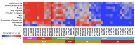 A Hierarchical Clustering Of 18 Pre Treatment Biopsy Samples Og With Download Scientific