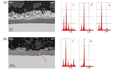 ‘ig 9 Sem Micrographs And Eds Spectra Of