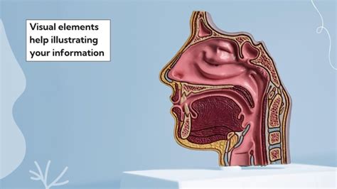 Human Anatomy And Physiology 10th Grade Presentation