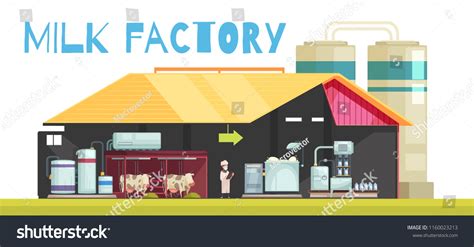 Milk Production Composition Profile View Milking เวกเตอร์สต็อก ปลอดค่าลิขสิทธิ์ 1160023213
