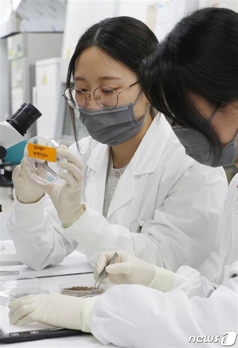 경기도 4~10월 말라리아 선제적 대응 위해 ‘말라리아 매개모기 감시사업 실시 뉴스1