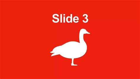 Powerpoint Test Pptx