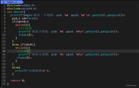 【linux】fork函数的基础知识 fork返回值 csdn博客