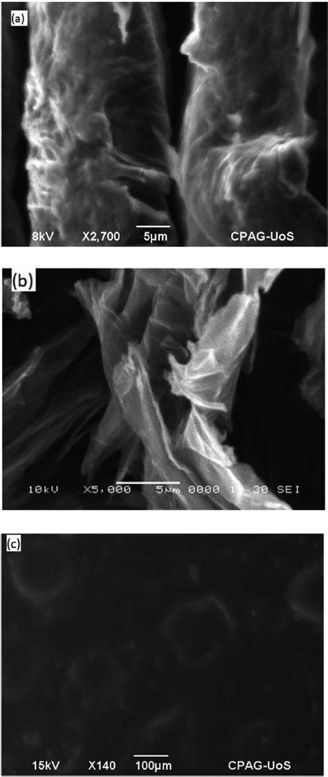 SEM Images Of A GO B In GO NC And C In GO NgC Download Scientific Diagram
