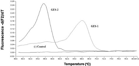 Rapid Detection And Sequence Specific Differentiation Of Extended Spectrum β Lactamase Ges 2