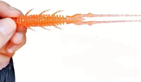 Floating Shrimp Ned Shrimp Soft Bait Bionic Salt Elastic Temu United