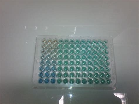 Can The Extraction Buffer Be Interfering With The Bradford Reagent