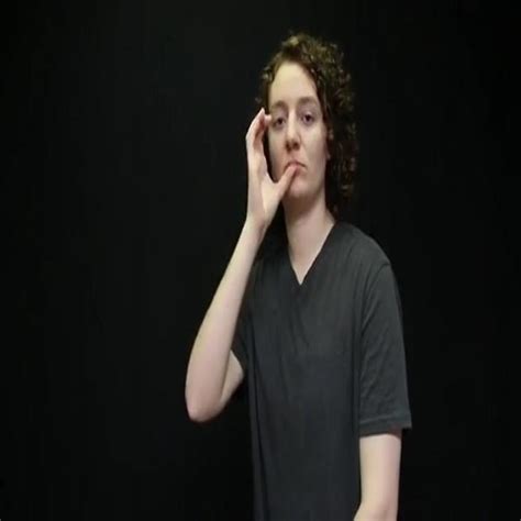 American Sign Language Object Detection Dataset V2 2023 09 25 9 49pm